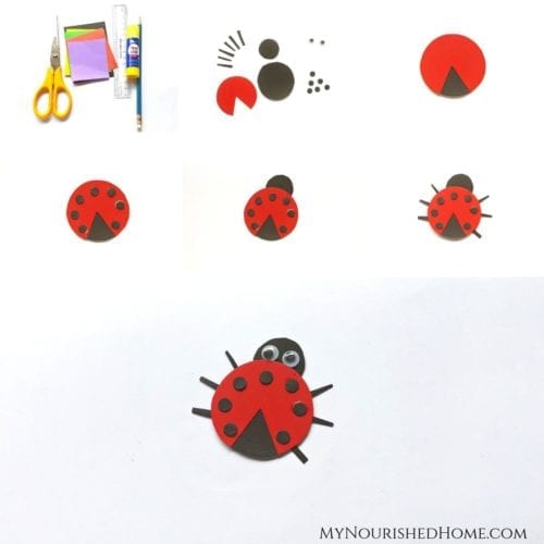 Paper Ladybug Craft for Kids | My Nourished Home