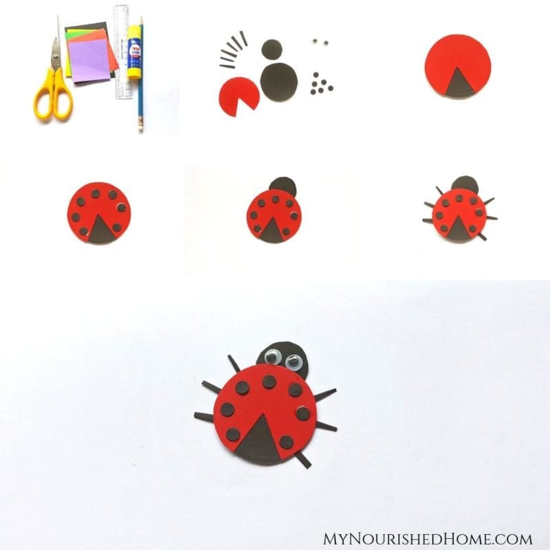 Paper Ladybug Craft for Kids | My Nourished Home